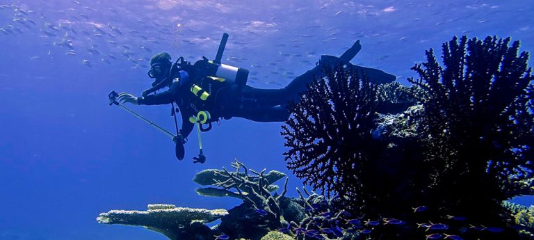 Markus Reymann: How Art Could Save the Oceans » Dallas Innovates