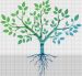 The (Alcon) Family Tree: How One Company Seeded a DFW Life Science ...