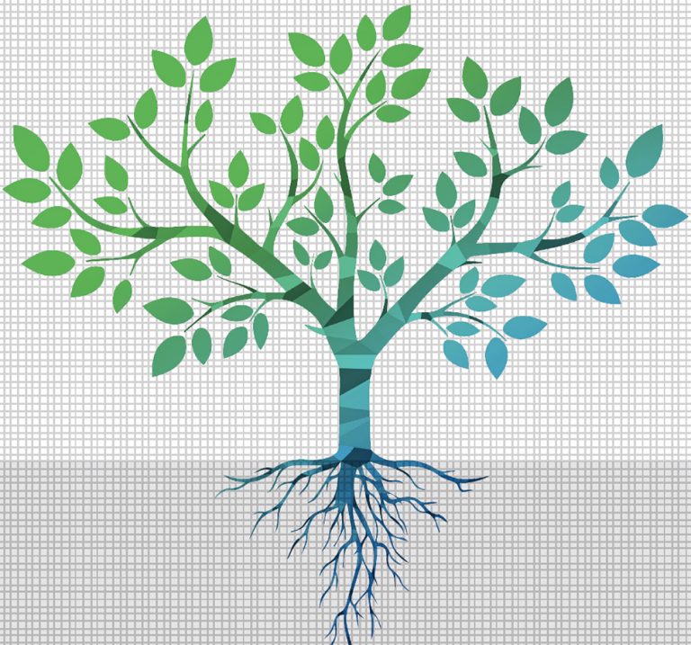 The (Alcon) Family Tree: How One Company Seeded a DFW Life Science ...