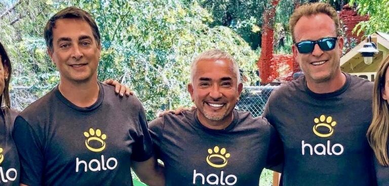 Raising the Woof: Plano-Based Halo Completes Series B with $400M ...