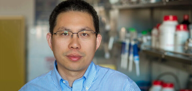 The Last Word: UT Arlington's Yi Hong on Landing $400K to Develop New 'Bioactive Materials' for ...