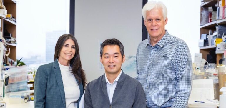 UT Southwestern Team's Gene Editing Battles 1-in-250 Heart Condition ...