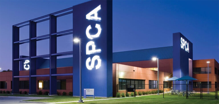 SPCA of Texas Names Interim President/CEO After Current Leader Resigns ...