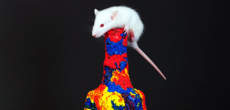 UTSW Researchers Discover Liver Hormone Helps Drunk Mice Sober Up ...