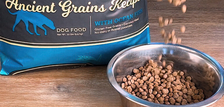 From Dog Food Diet Challenge to State‑of‑the‑Art Expansion: Muenster ...