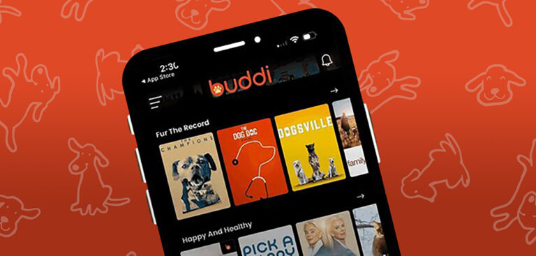 A Netflix for Pet Lovers: Fort Worth's buddi Unleashes 24/7 Streaming ...