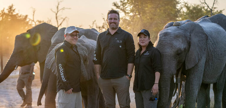 Colossal Launches The Colossal Foundation with $50M for 'BioVault ...