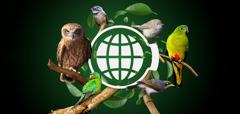 Colossal Foundation Donates $1.5M to Support Avian Conservation in ...